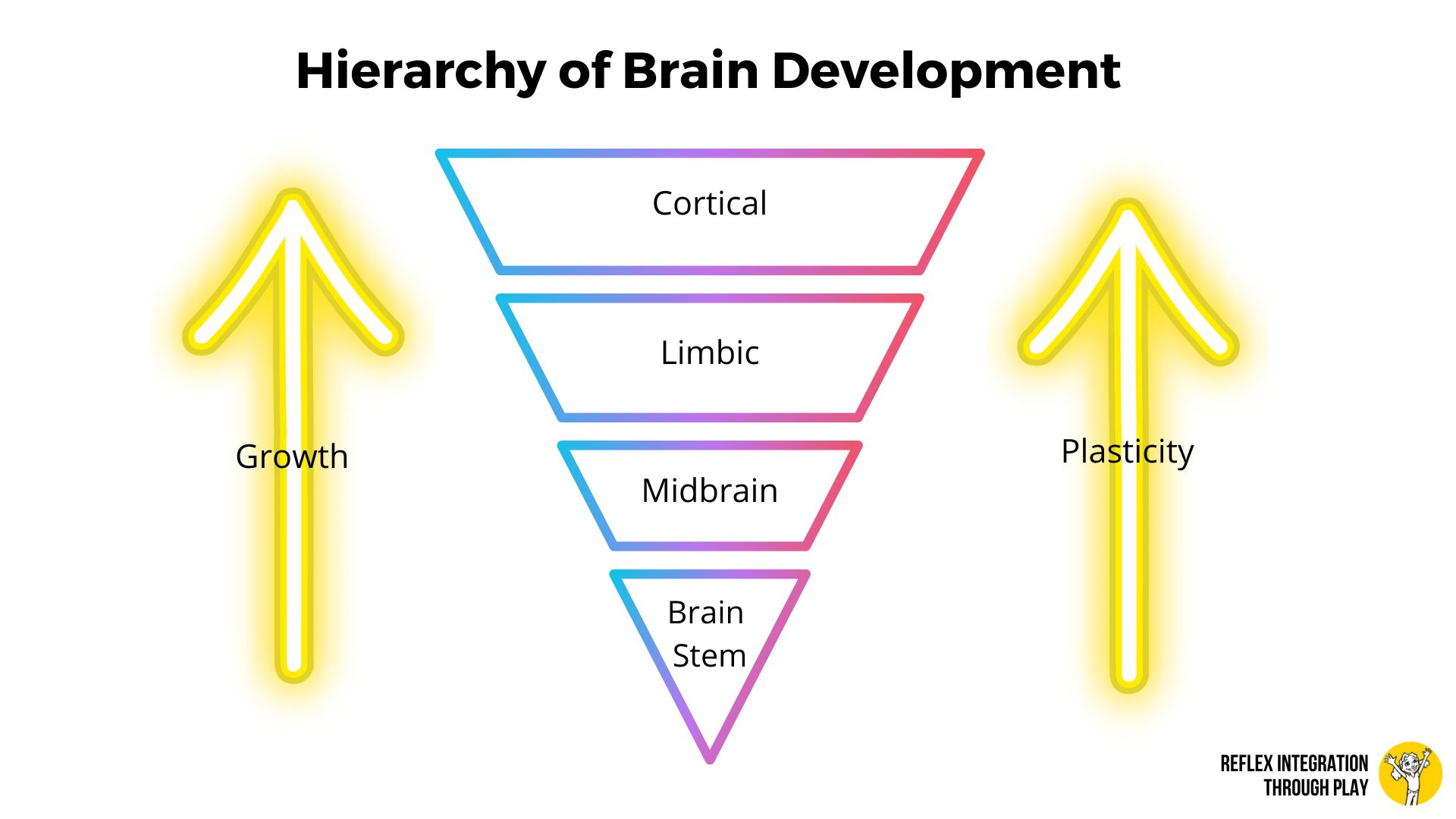 Building a Strong Foundation: Understanding Brain Development and ...